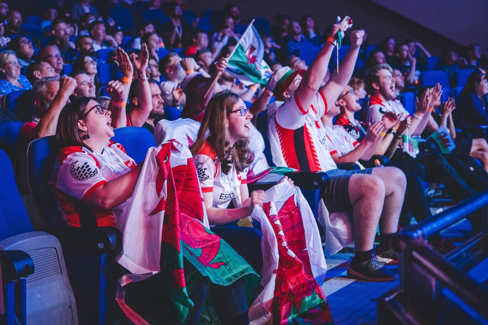 Esports Wales | British Esports Federation
